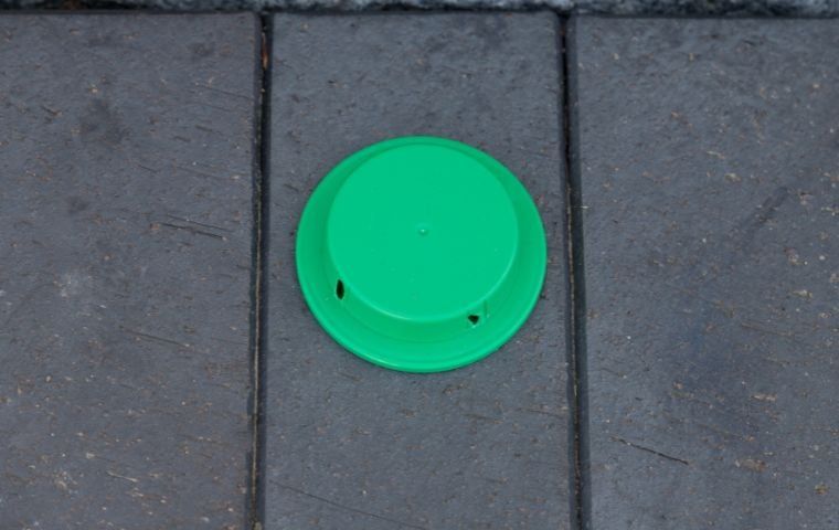 Ant Traps And How To Use Them To Get Rid Of An Ant Infestation | Mandau ...