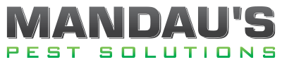 Columbus Pest Control | Mandau’s Pest Solutions